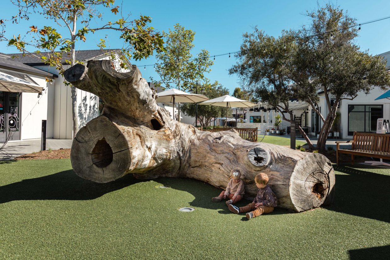 One Paseo - GroundLevel Landscape Architecture