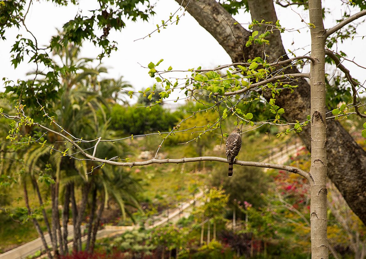Private Community Park - GroundLevel Landscape Architecture