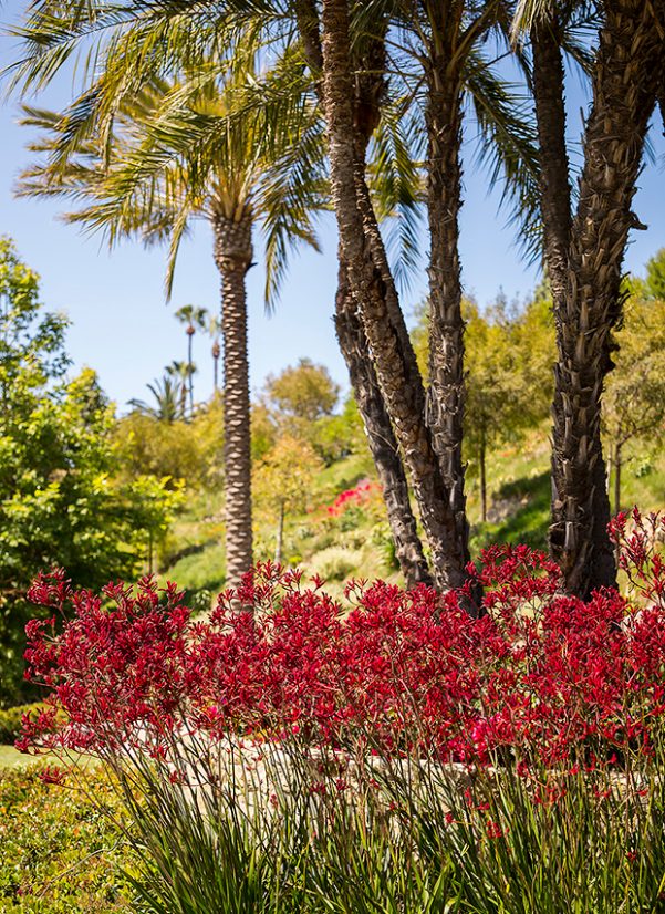 Private Community Park - GroundLevel Landscape Architecture