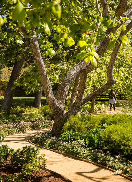 Private Community Park - GroundLevel Landscape Architecture