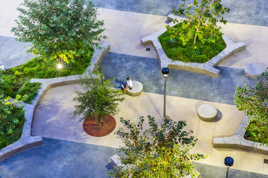 Expertise - GroundLevel Landscape Architecture