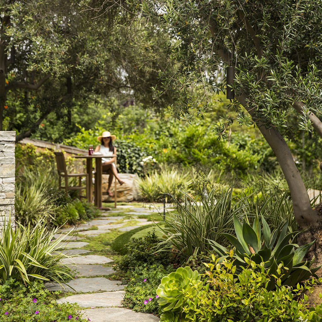 Residential Archives - GroundLevel Landscape Architecture