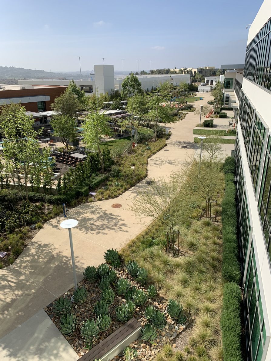 Viasat Bressi Campus - GroundLevel Landscape Architecture