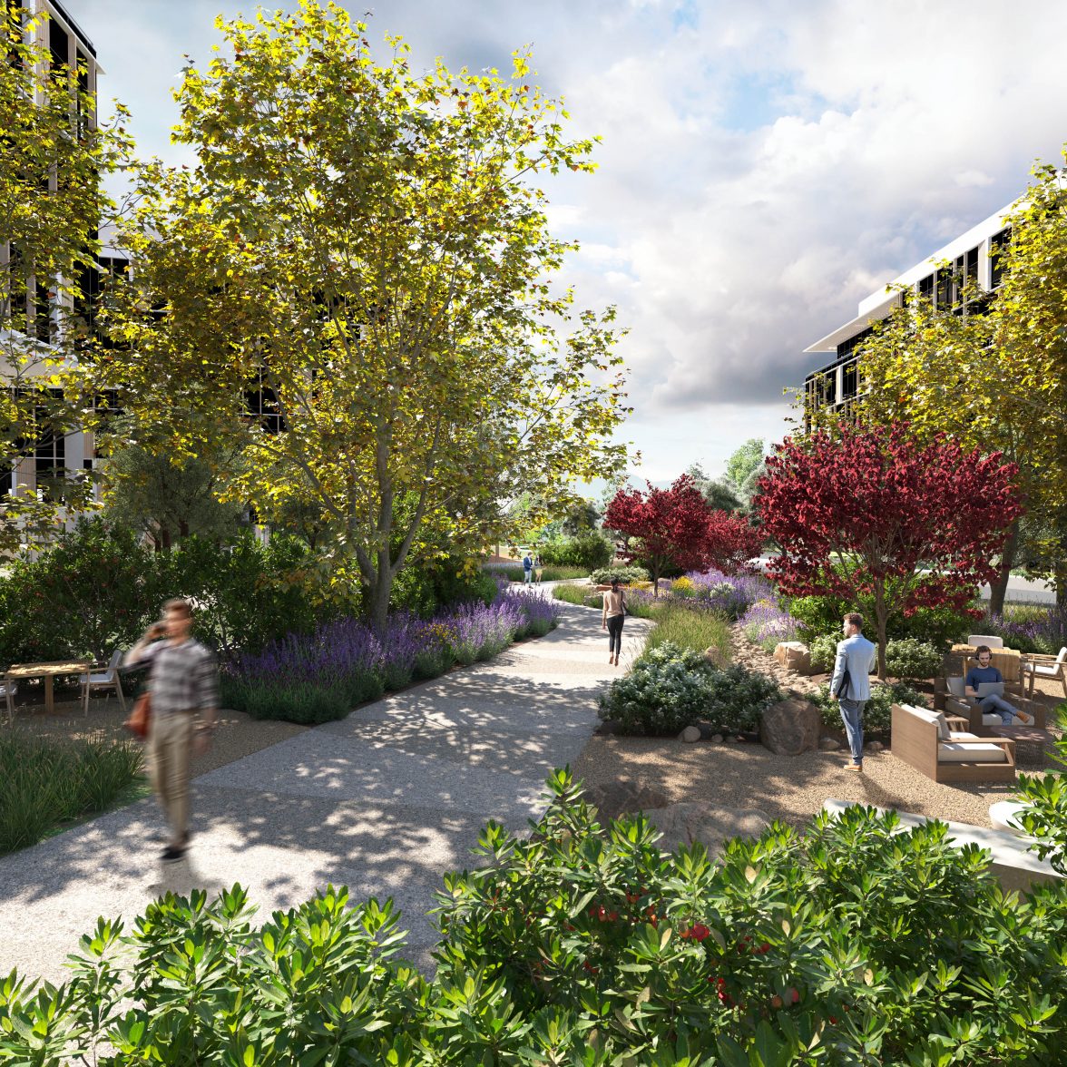 Santa Fe Summit - GroundLevel Landscape Architecture