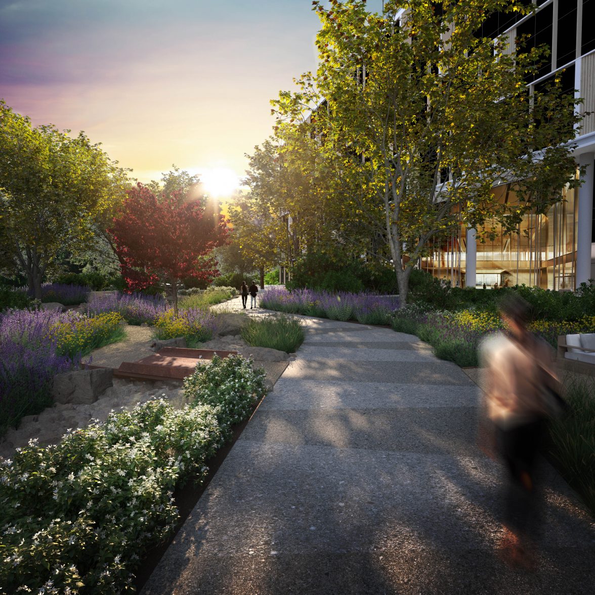 Santa Fe Summit - GroundLevel Landscape Architecture