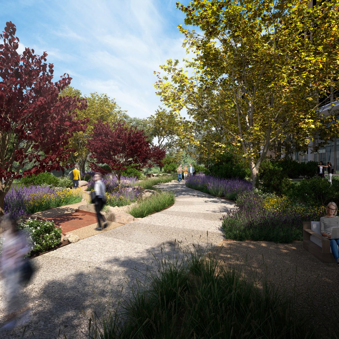 Santa Fe Summit - GroundLevel Landscape Architecture