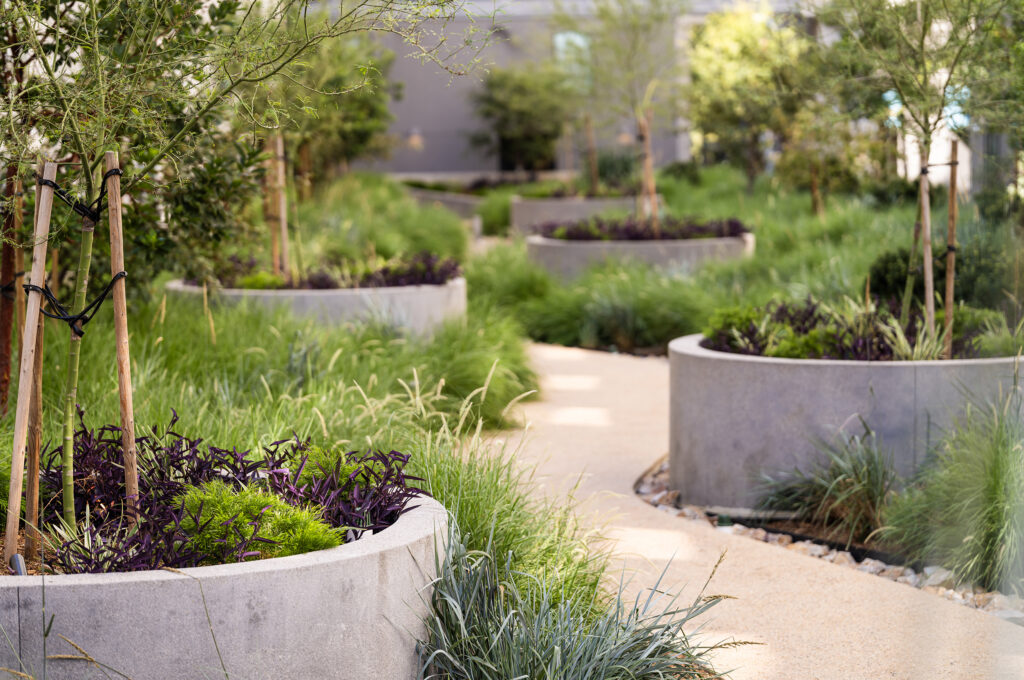 AVA Hollywood - GroundLevel Landscape Architecture